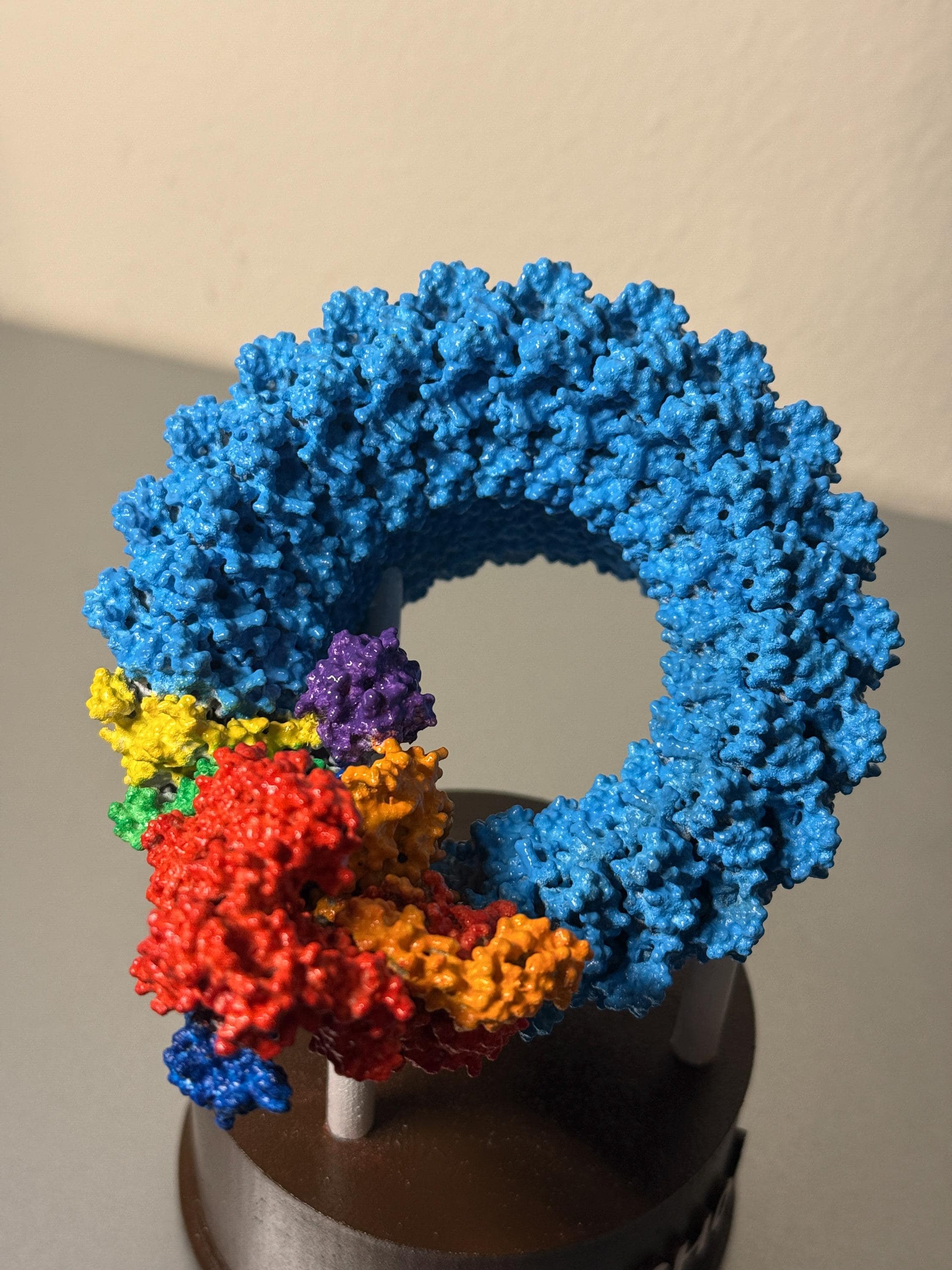 CUSTOM 3d-printed HIGH-DETAIL Surface Protein Model | Personalized Gift ...