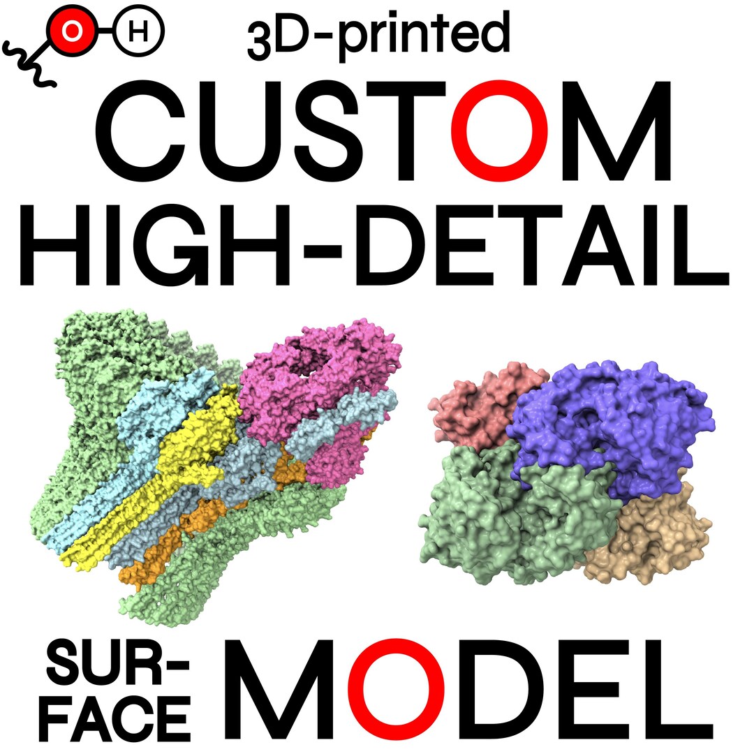 CUSTOM 3d-printed HIGH-DETAIL Surface Protein Model | Personalized Gift ...