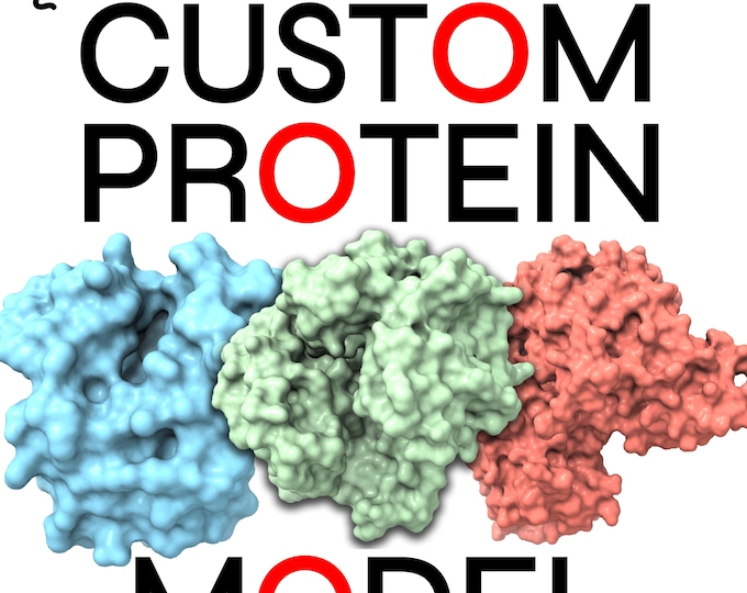 CUSTOM 3d-printed Protein Model | Gift for Scientists - Etsy