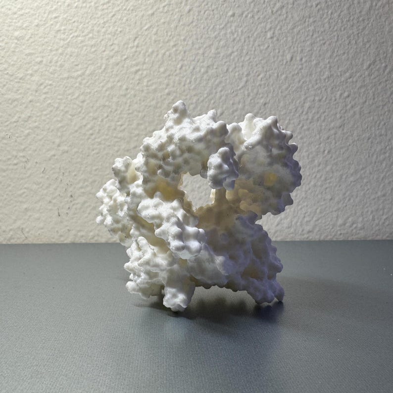 DNA Polymerase Complex Model | 3D Printed and Custom Color - Etsy Australia