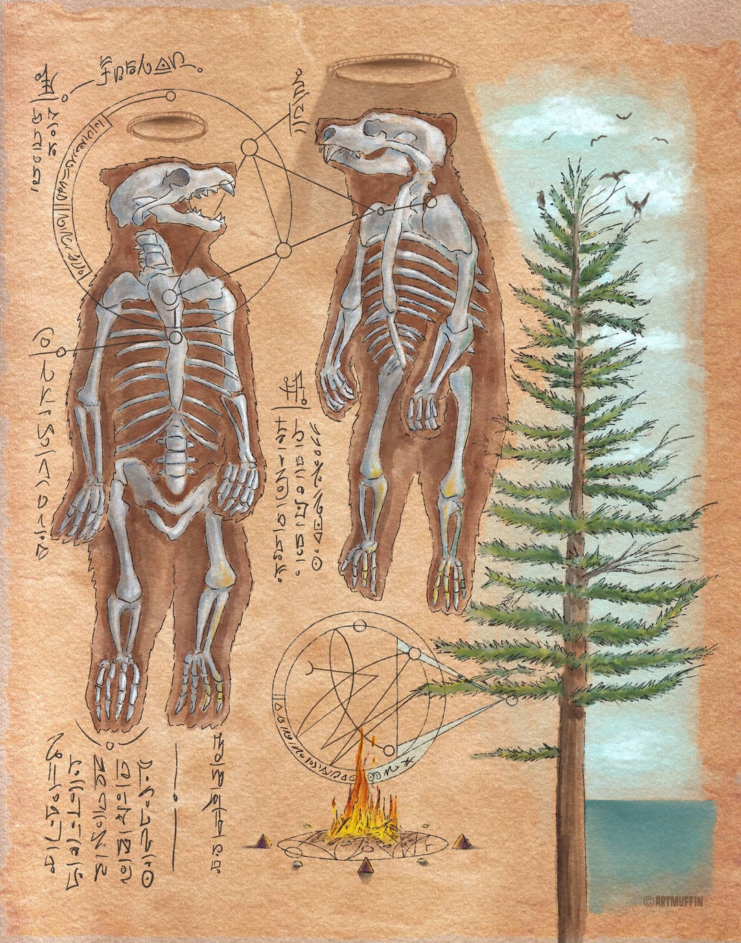 Bear Medicine - Spirit Animal - Ritual and Anatomy - Etsy