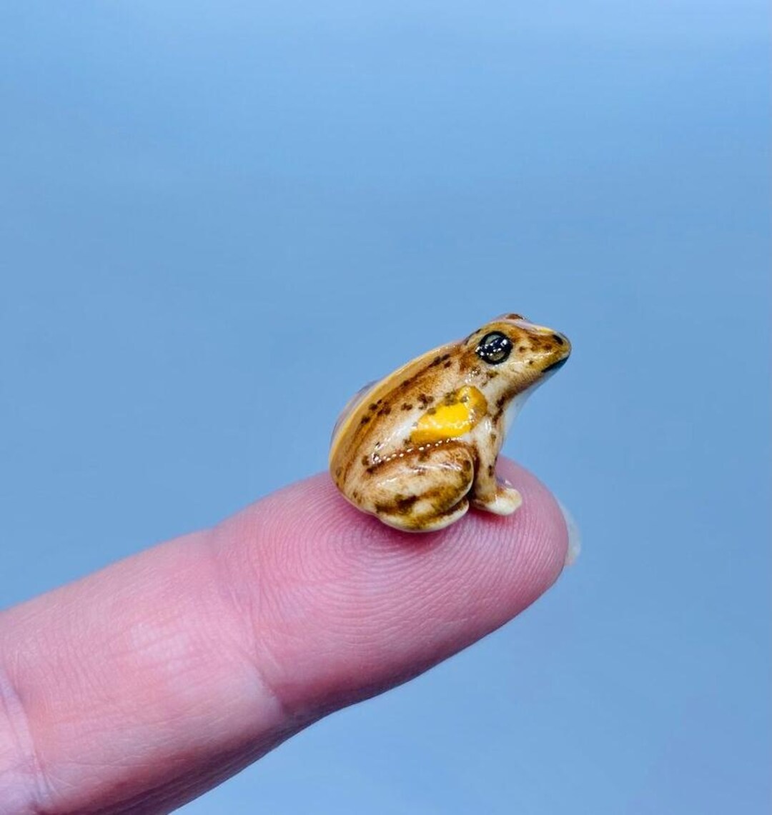 Miniature Ceramic Frog Collectable Ornament Fairy Garden Gift (B) - Etsy
