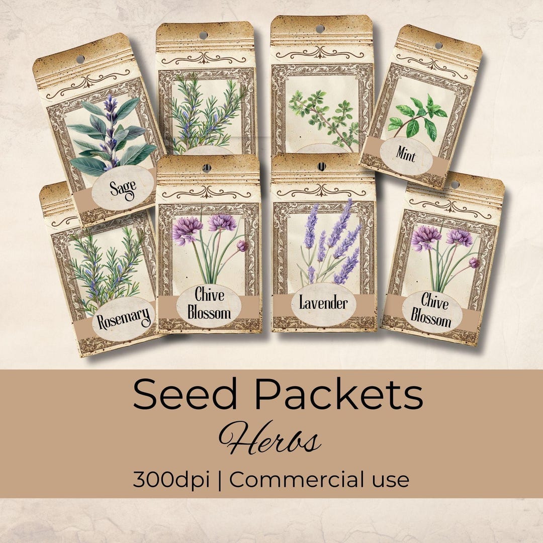 Vintage Herb Seed Packet, Digital Set, Botanical Flower Ephemera ...