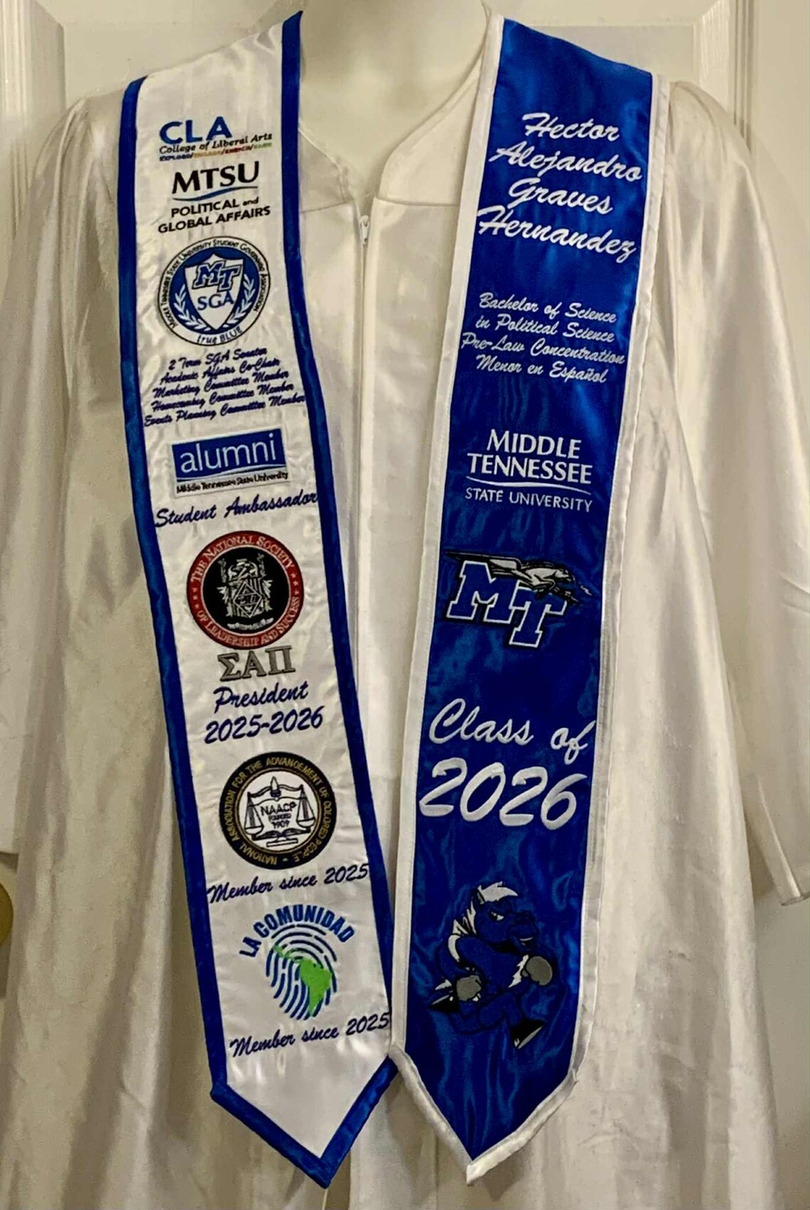 Graduation Stole Multi-theme/college Graduation Stole/personalized ...