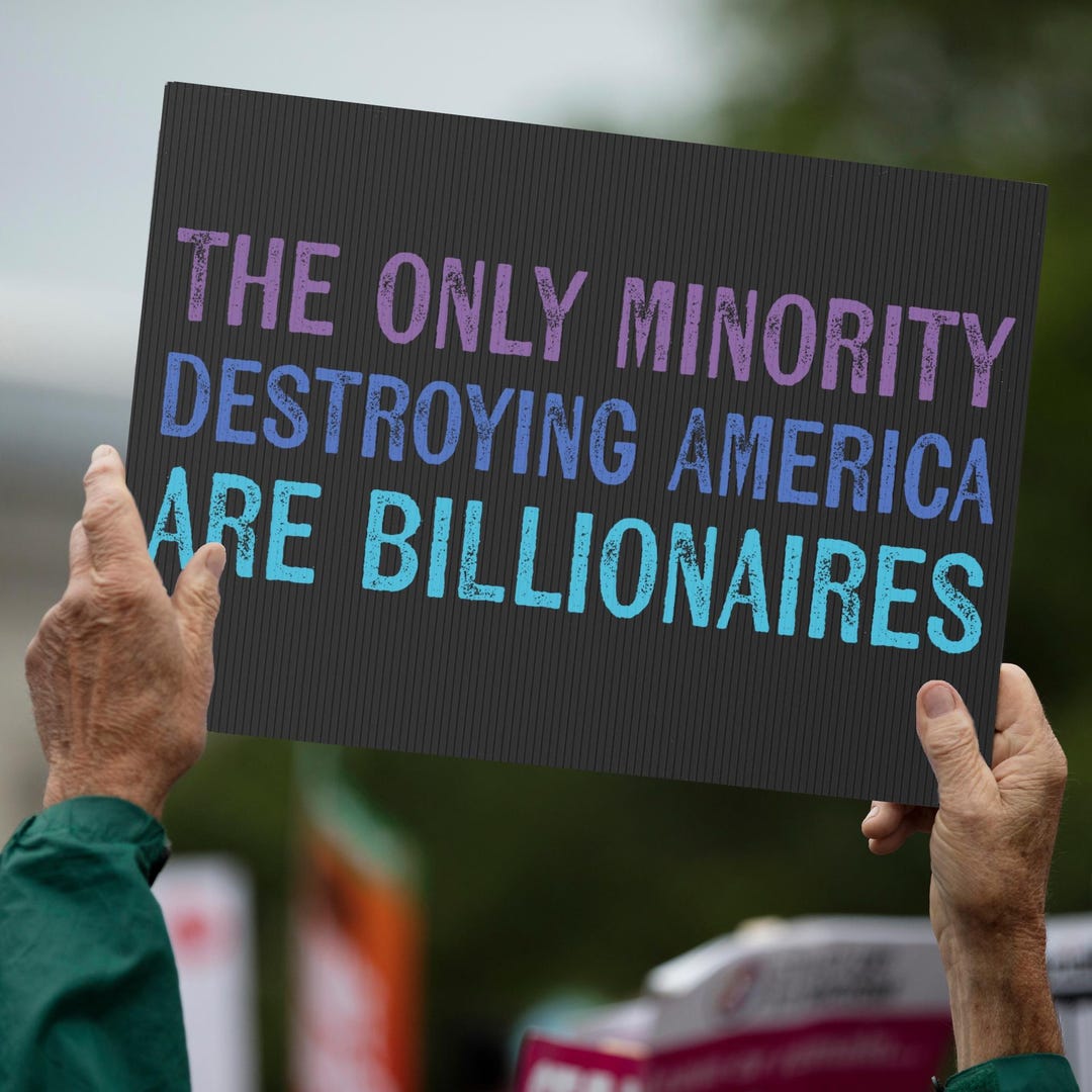 Anti Billionaire Protest Sign, Political Rally Sign, Wealth Inequality ...