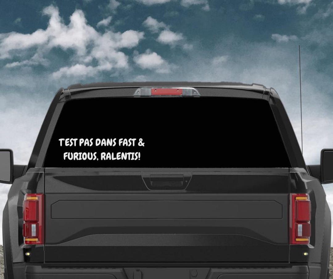 You're Not in Fast and Furious, Slow Down French Car Decal Window Decal ...