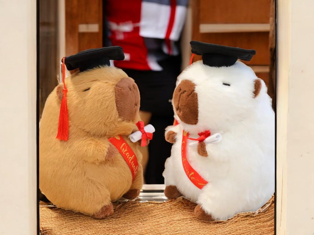 25CM Cute Graduation Capybara Plush Toy – Soft Stuffed Animal Gift for ...