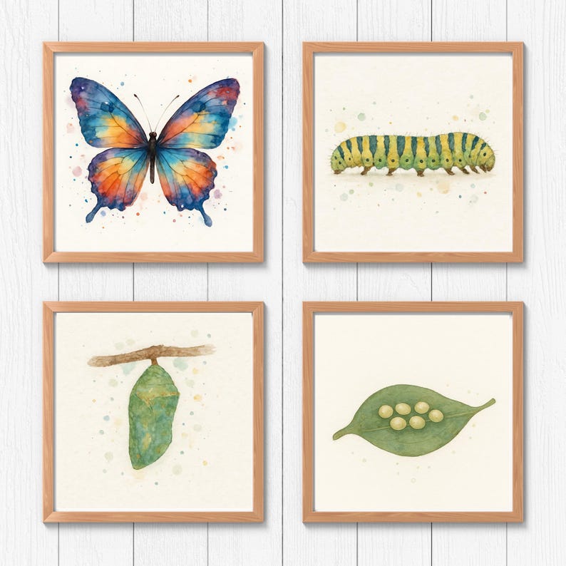 Butterfly Life Cycle Activities & Posters | Homeschool Printable (PDF ...