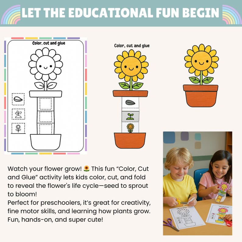 Plant Life Cycle Worksheets | Cut and Glue Activities for Kids ...