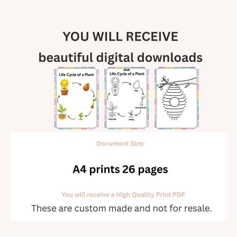 Plant Life Cycle Activity Pack: Cut & Glue Worksheets, Science Craft ...