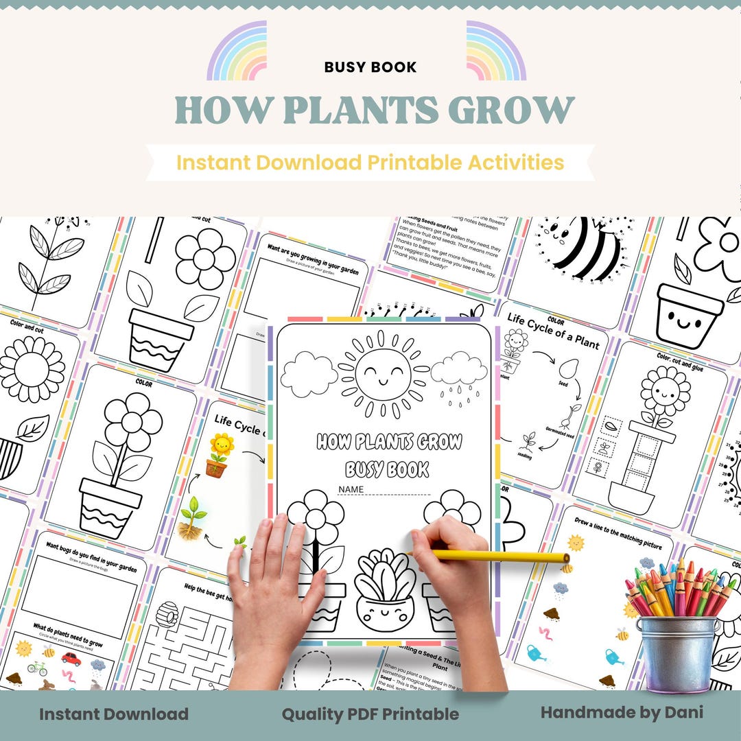 Plant Life Cycle Activity Pack: Cut & Glue Worksheets, Science Craft ...