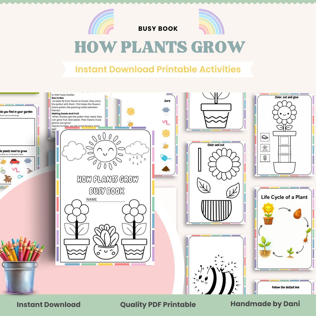 Plant Life Cycle Activity Pack: Cut & Glue Worksheets, Science Craft ...