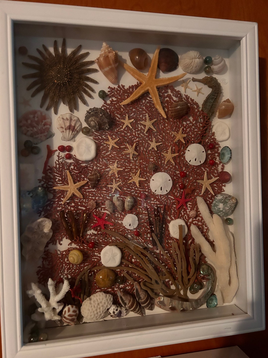 Sea Life Shadow Box. A Trip to the Ocean in a Box - Etsy