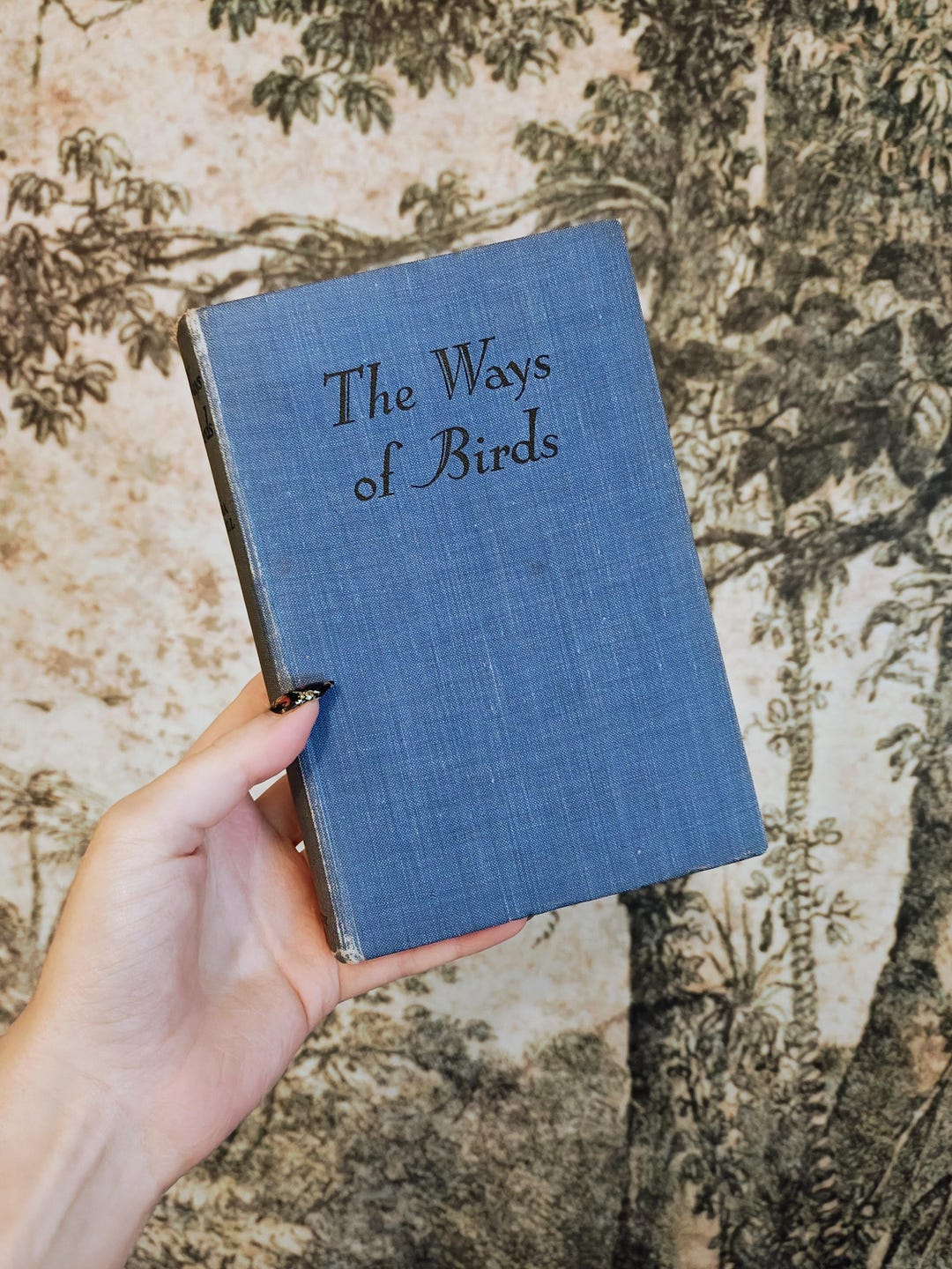 The Ways of Birds Hardback Book by Thora Stowell, 1st Edition, First ...