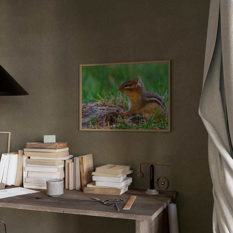 Chipmunk Photograph - Chipmunk - Bird Photos - Chimpunk Prints - Wall ...