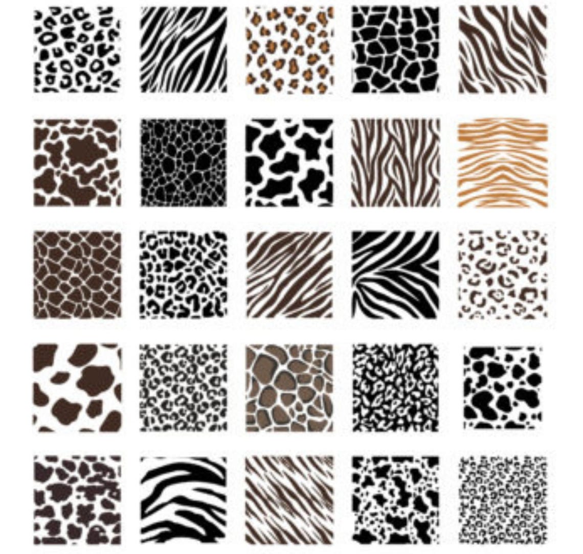 64 Animal Skin Svg, Animal Pattern Svg, Leopard, Cow, Tiger, Zebra ...