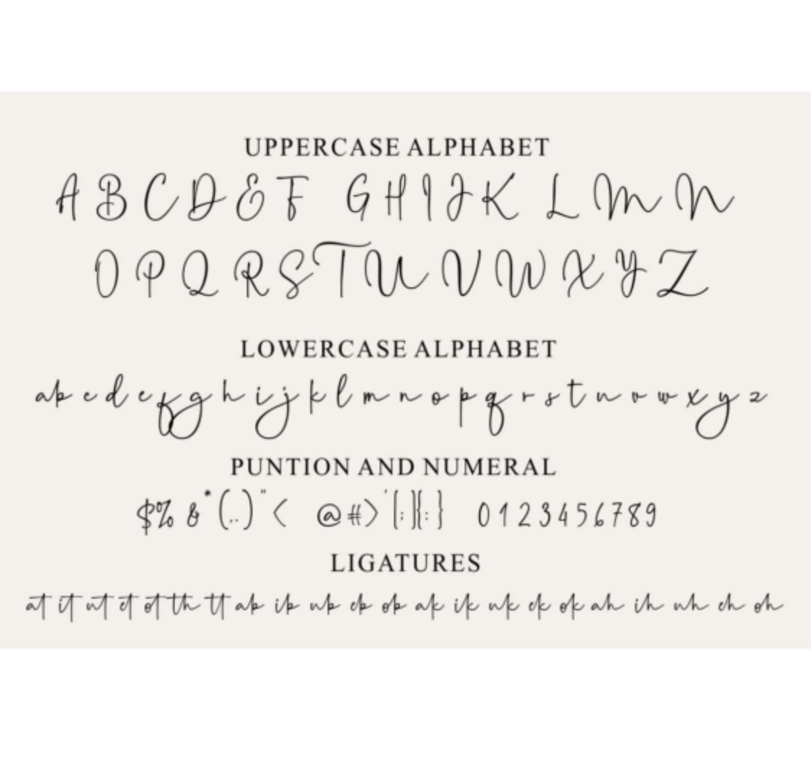 Gratitude Font, Cursive Font Bundle, Script Fonts, Canva Font ...