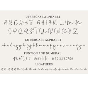 Gratitude Font, Cursive Font Bundle, Script Fonts, Canva Font ...