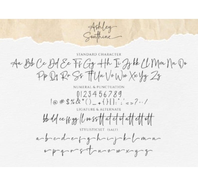 Ashley Southine - Calligraphy Font, Script Font, Cricut Font, Cursive ...