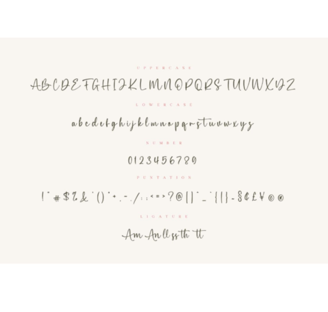 Amelia Font, Script Font, Handwritten Font, Wedding Font, Romantic Font ...