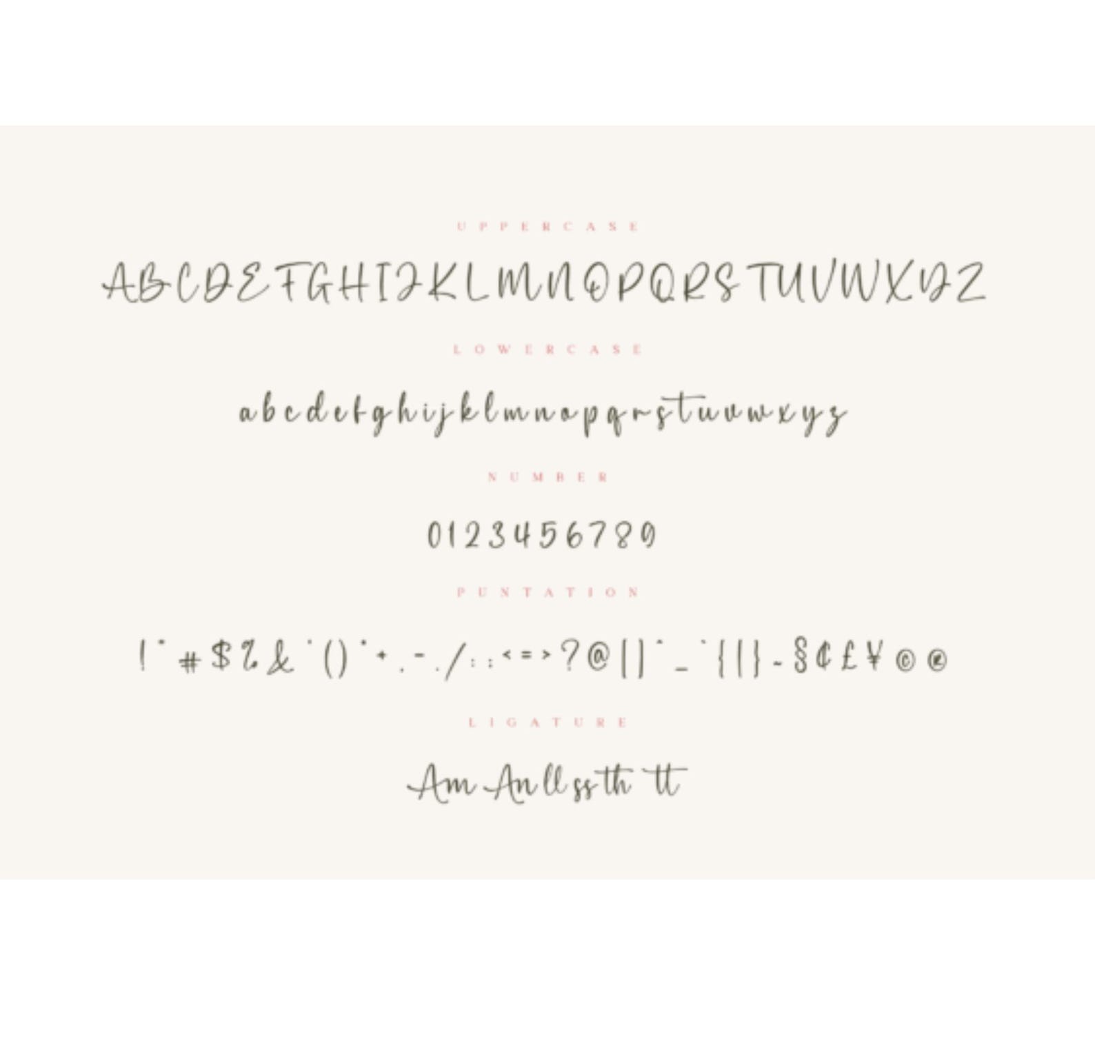 Amelia Font, Script Font, Handwritten Font, Wedding Font, Romantic Font ...