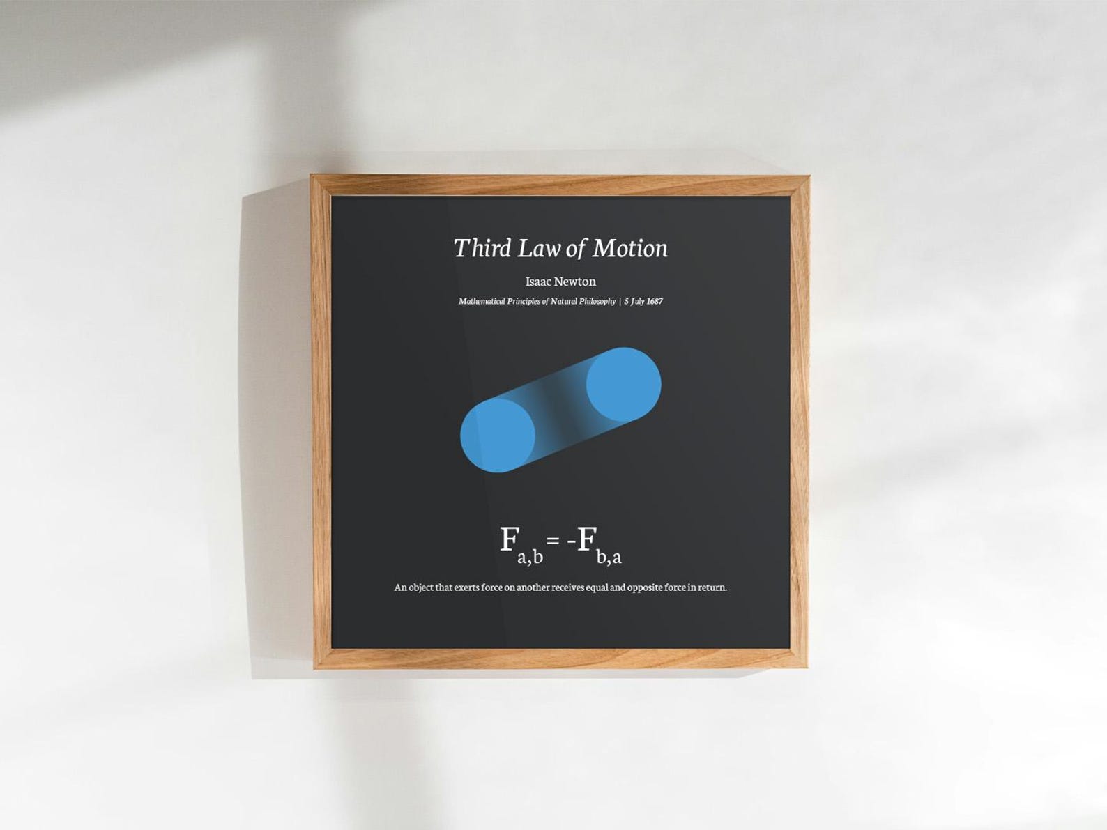 Physics Math Science Equation Print - Newton's Third Law of Motion ...