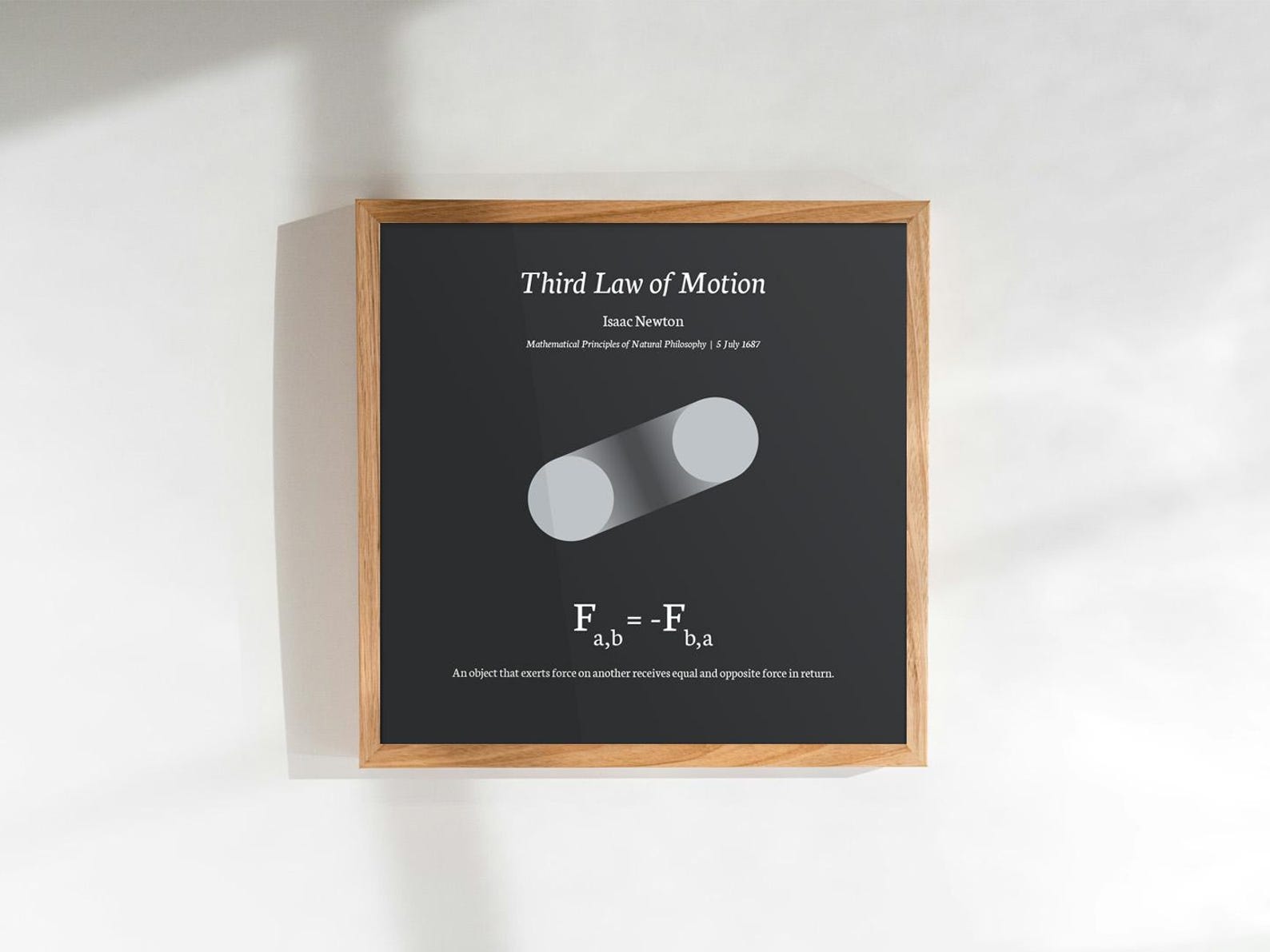 Physics Math Science Equation Print - Newton's Third Law of Motion ...
