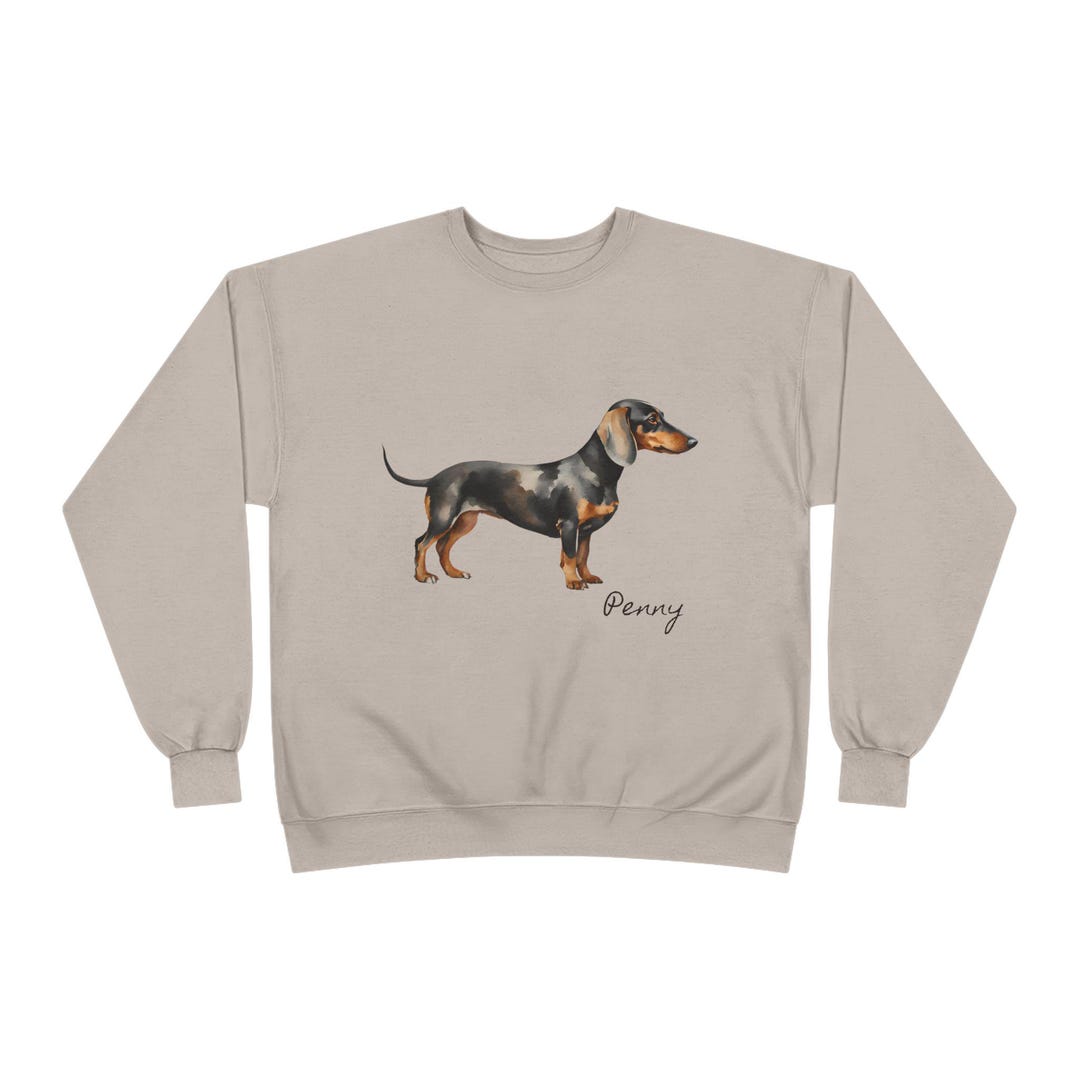 Weiner Dog Sweater, Custom Pet Shirt, Weiner Dog, Pet Hoodie, Weiner ...