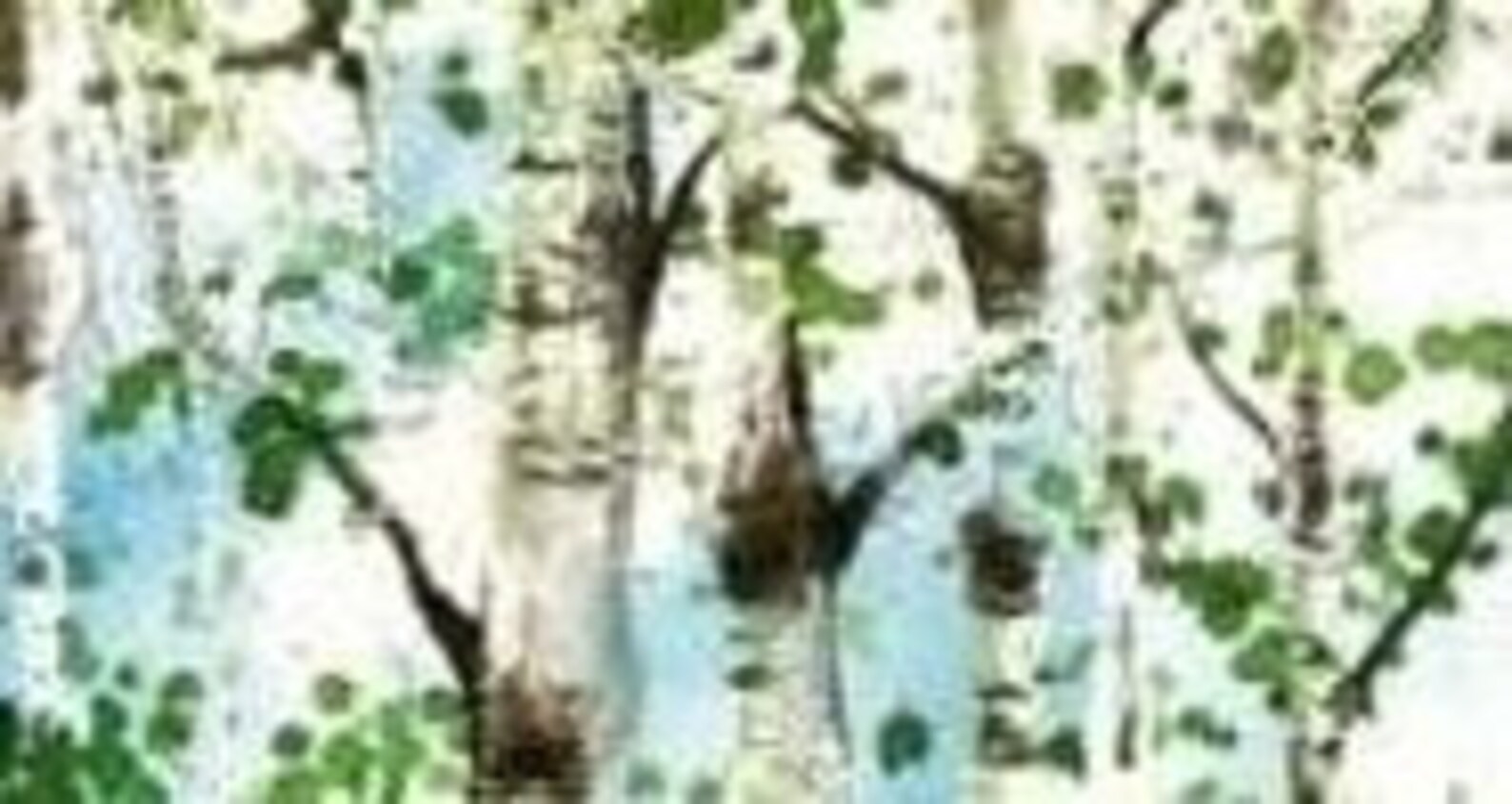 Summer Birch Trees Greeting and Note Card, Birch Tree Card, Birch Card, Summer Birches ...