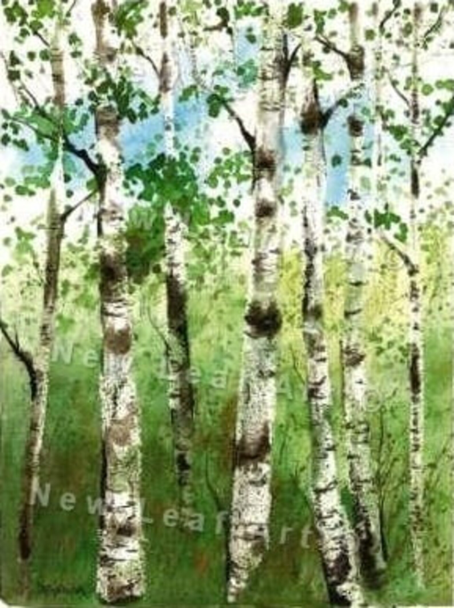 Summer Birch Trees Greeting and Note Card, Birch Tree Card, Birch Card, Summer Birches ...