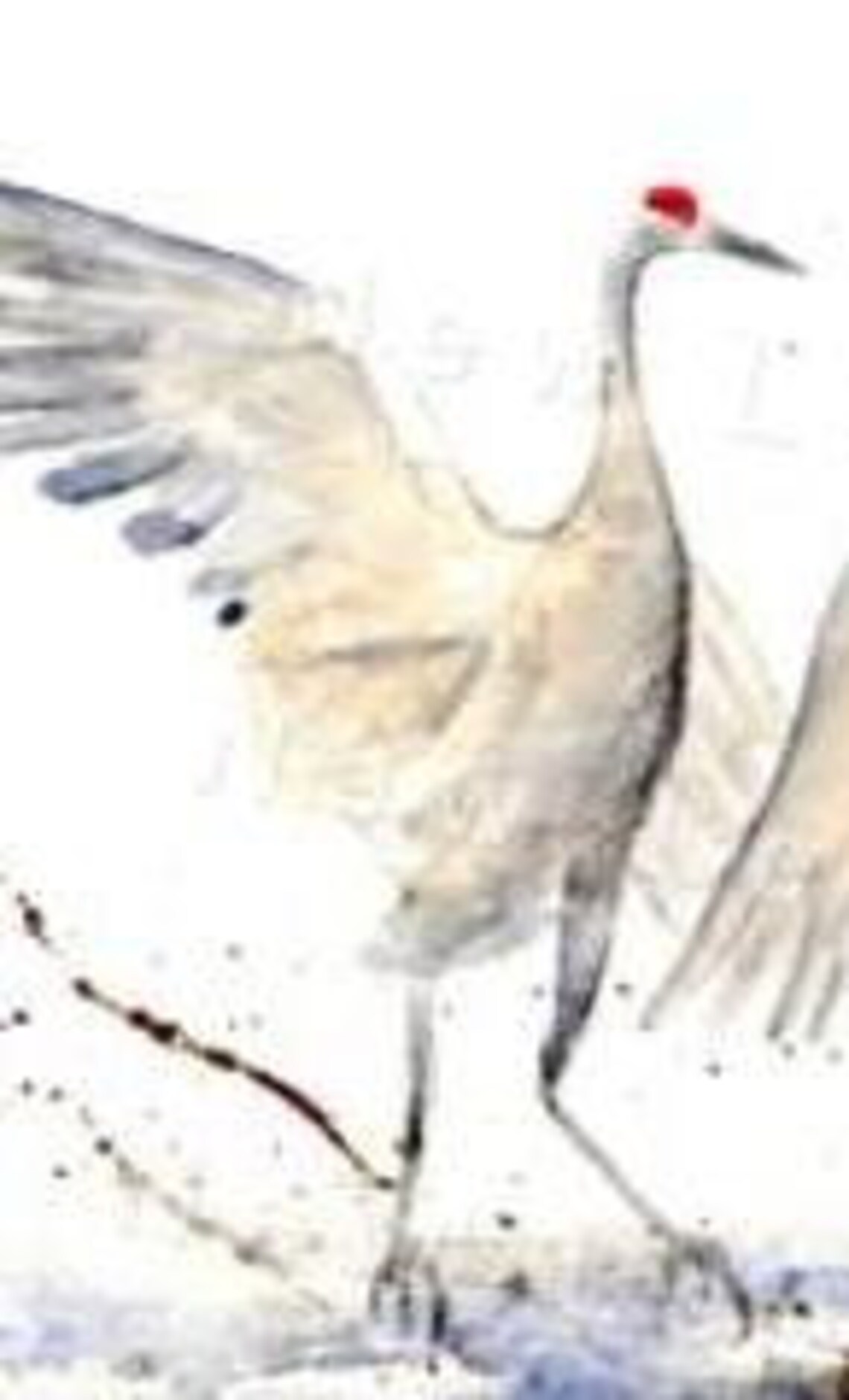 Crane Card Crane Dance Sandhill Cranes Crane Greeting Card - Etsy