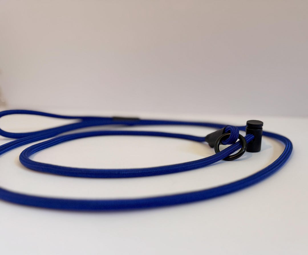 Paracord Slip Leash (w/o-ring) - Etsy
