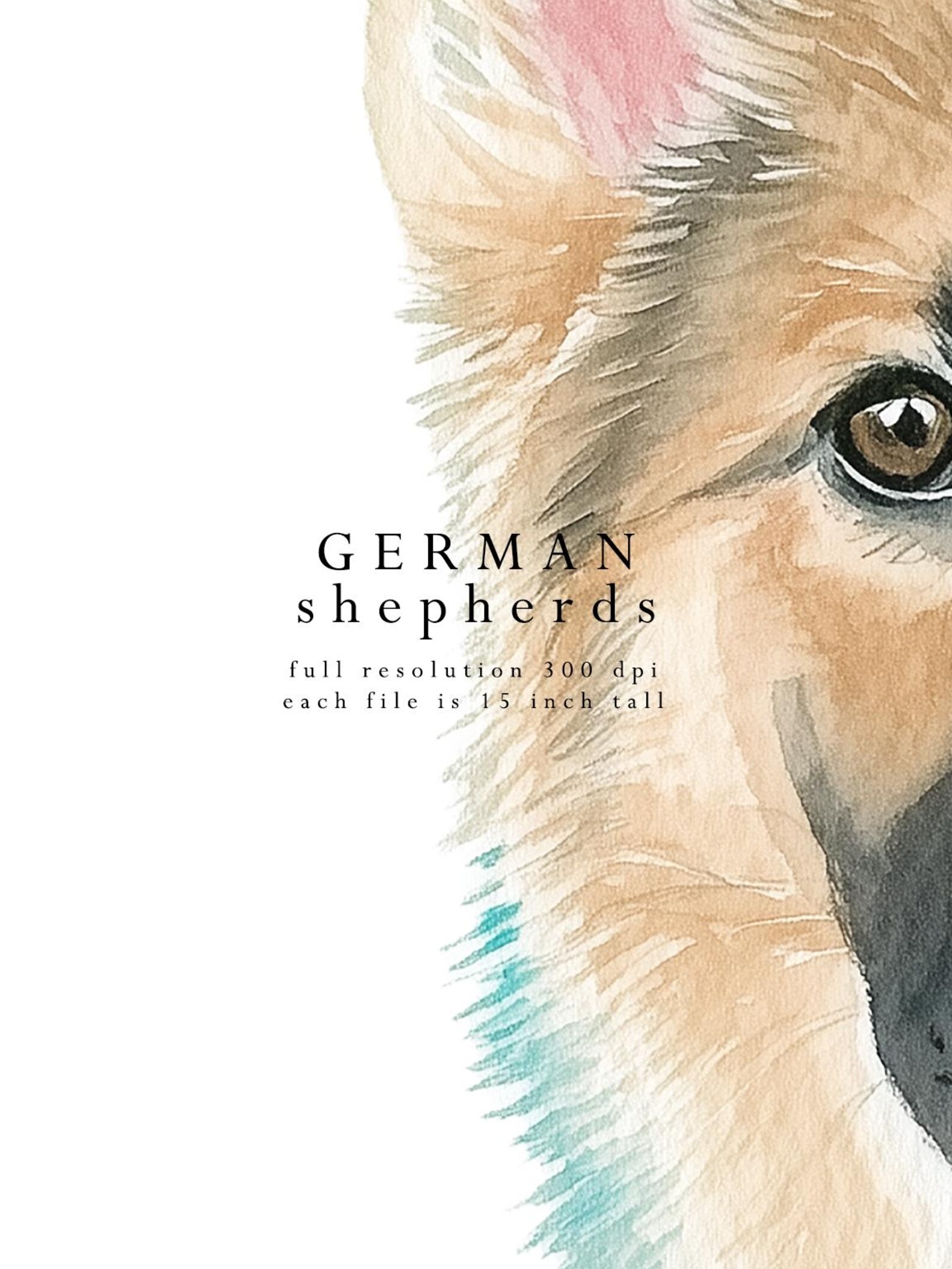 German Shepherd PNG Set | Watercolor Dog Clipart | 18 Transparent Files ...