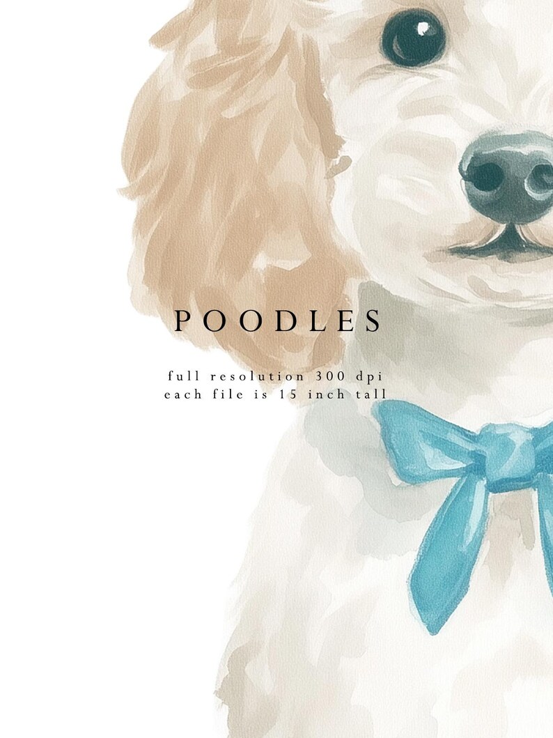 Poodle PNG Clipart | Watercolor Dog Illustrations | 16 Transparent ...