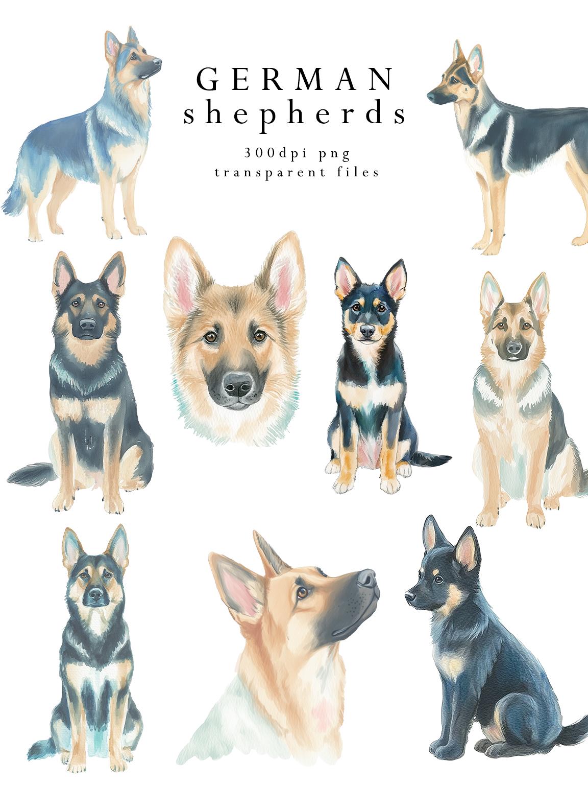 German Shepherd PNG Set | Watercolor Dog Clipart | 18 Transparent Files ...