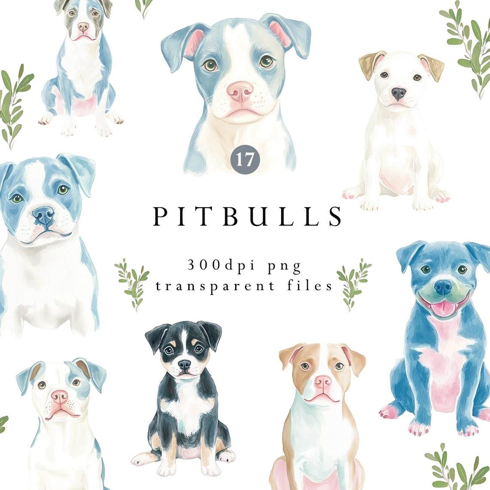 Pitbull PNG Clipart | Watercolor Dog Illustrations | 17 Transparent ...