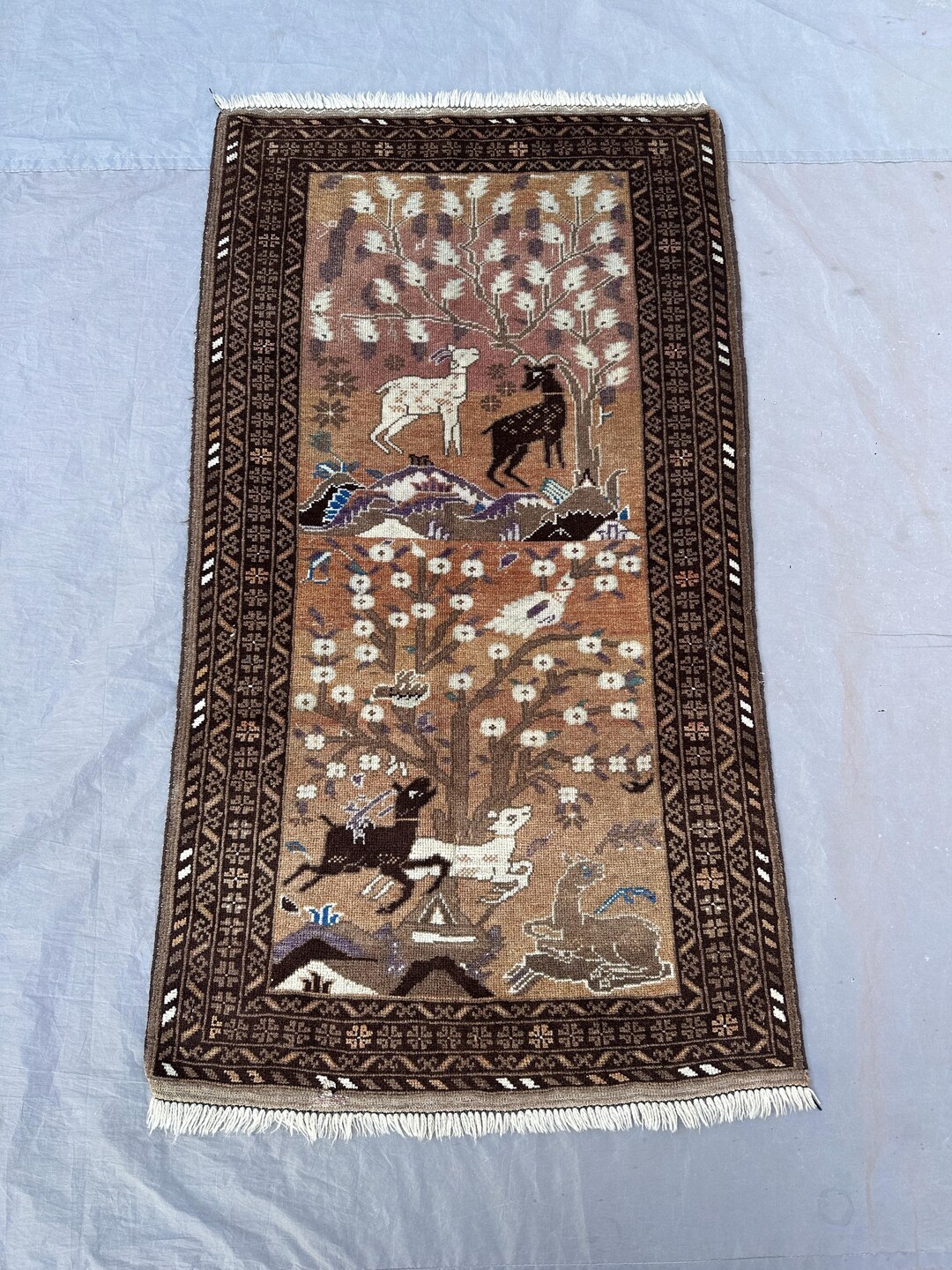 Unique Baluchi Pictorial Rug 4x2 Ft _ Handmade Tribal Wool Rug With ...