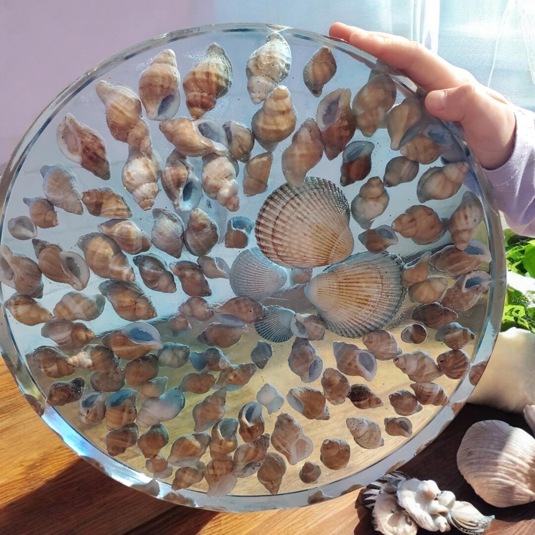 PNW Seashells in Epoxy Resin - Etsy