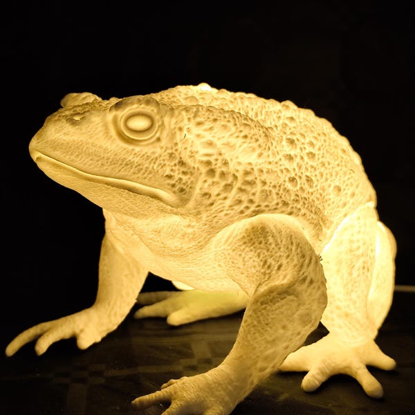 Frog Lamp - Etsy
