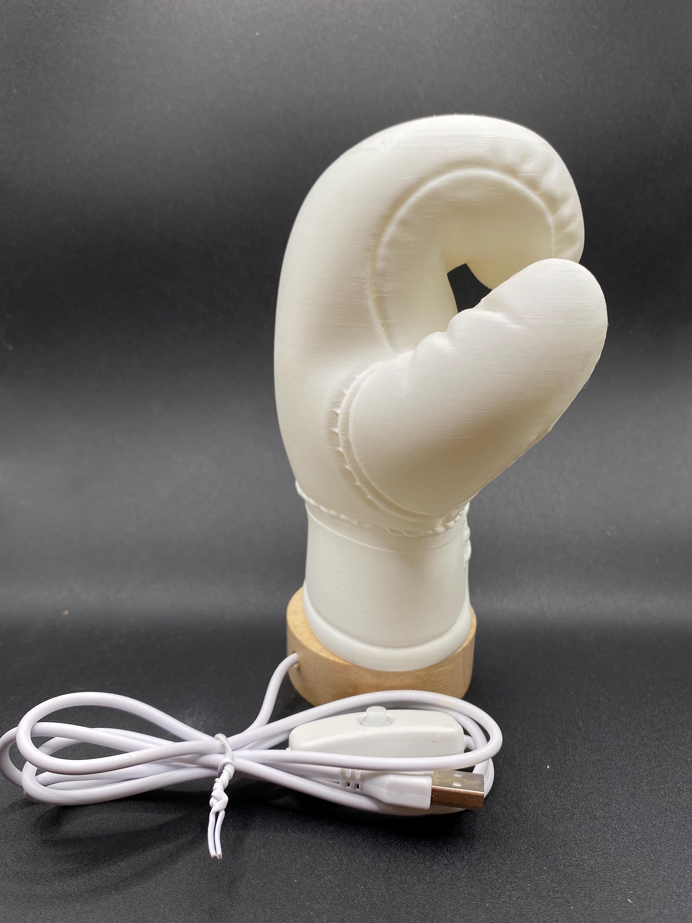 Italian Designed 3D Printed Boxing Glove Lamp USB – Precision Fitness ...