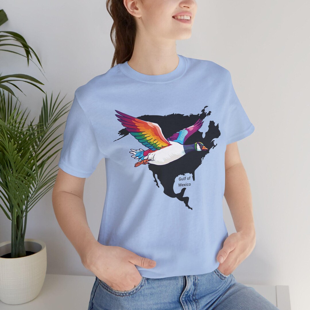 Rainbow Goose USA Map T-shirt: Liberal Politics Tee - Etsy