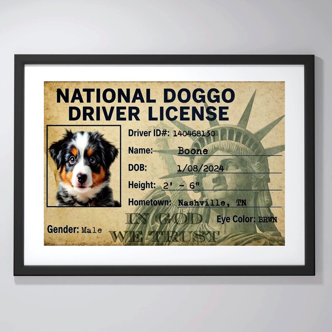 Personalized Dog Driver's License Wall Art | 30"x20" and 30"x24" Size ...