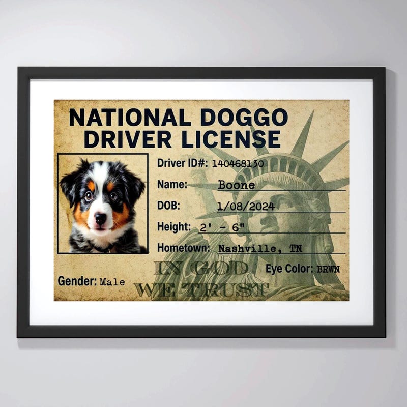 Dog Driver License - Etsy