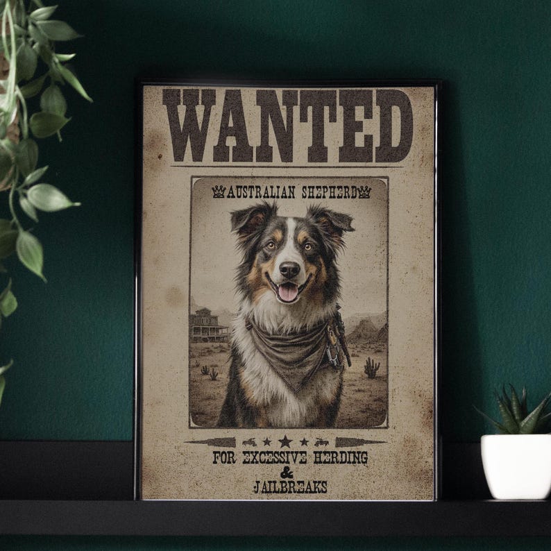 Vintage Western Wanted Poster - Australian Shepherd Outlaw | 16x24 ...