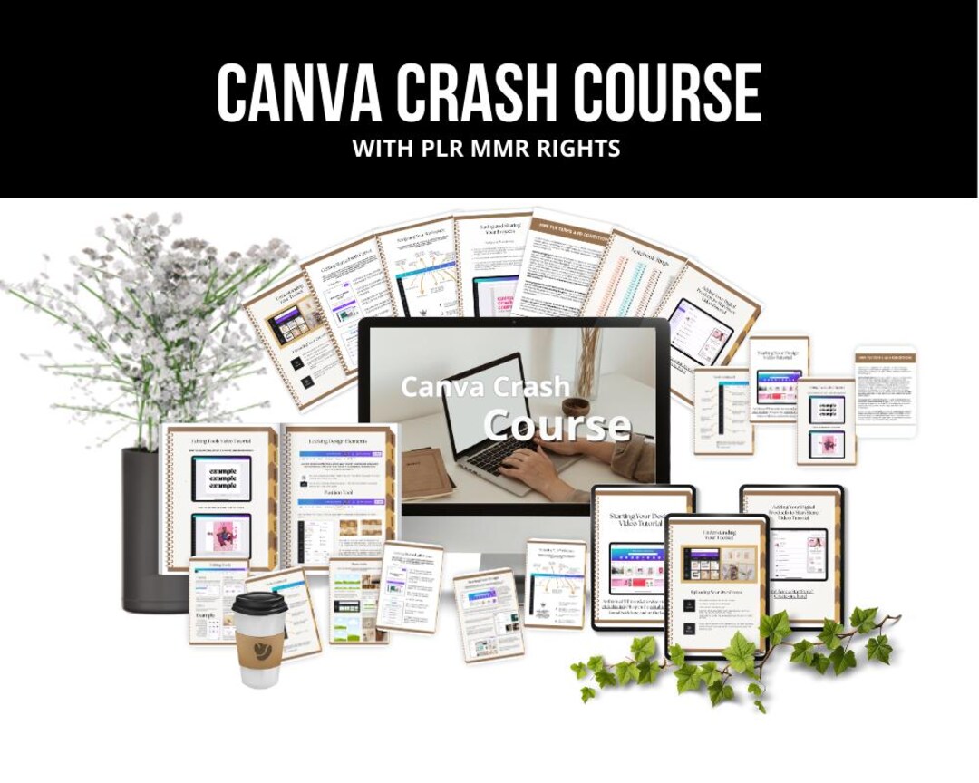 Master Canva: the Complete Crash Course With PLR & MMR Resell Rights - Etsy