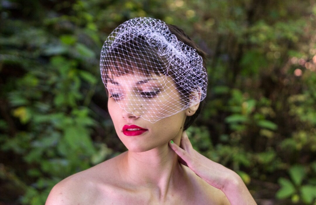 Birdcage Wedding Veil, Russian Net Polka Dot Veil, White Ivory Blush or ...