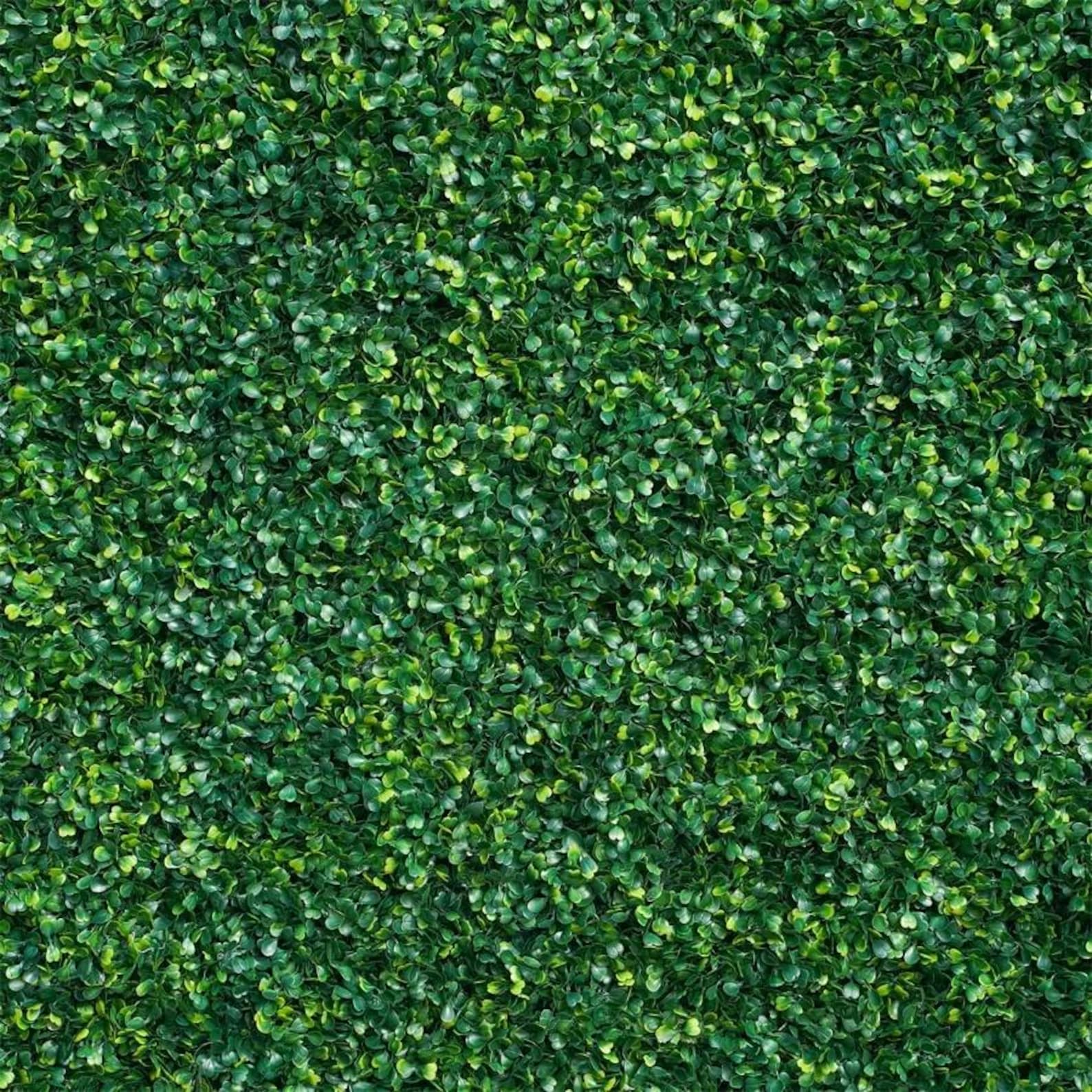 8ft X 8ft Milan Grass Wall Backdrop – Multiple Purchase Options - Etsy