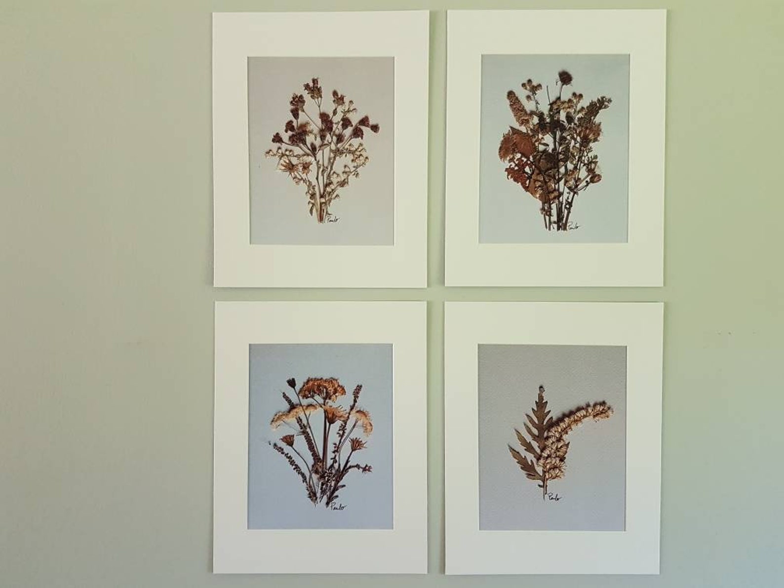 Pressed Flower Art Prints. Set of 4 Prints 11x14 Matted From - Etsy