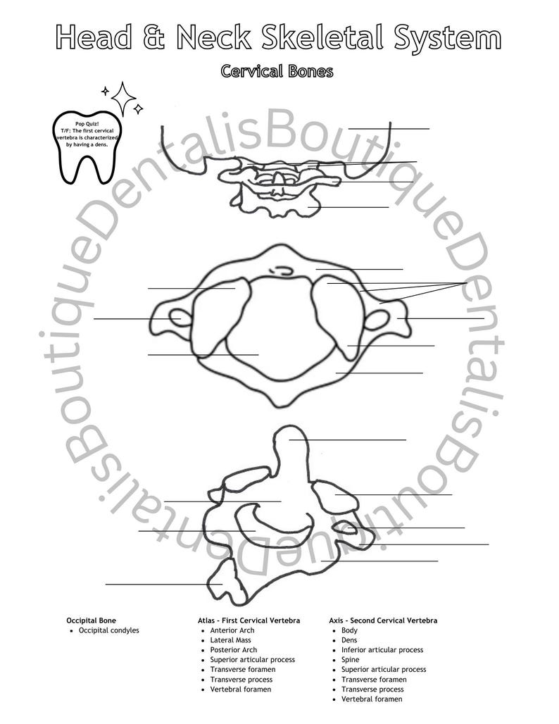 Dental Hygiene Study Cheat Sheet, Dental Hygienist Coloring Pages Head ...