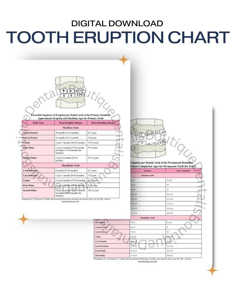 Dental Hygiene Study Cheat Sheet, Dental Tooth Eruption Chart, Dental ...